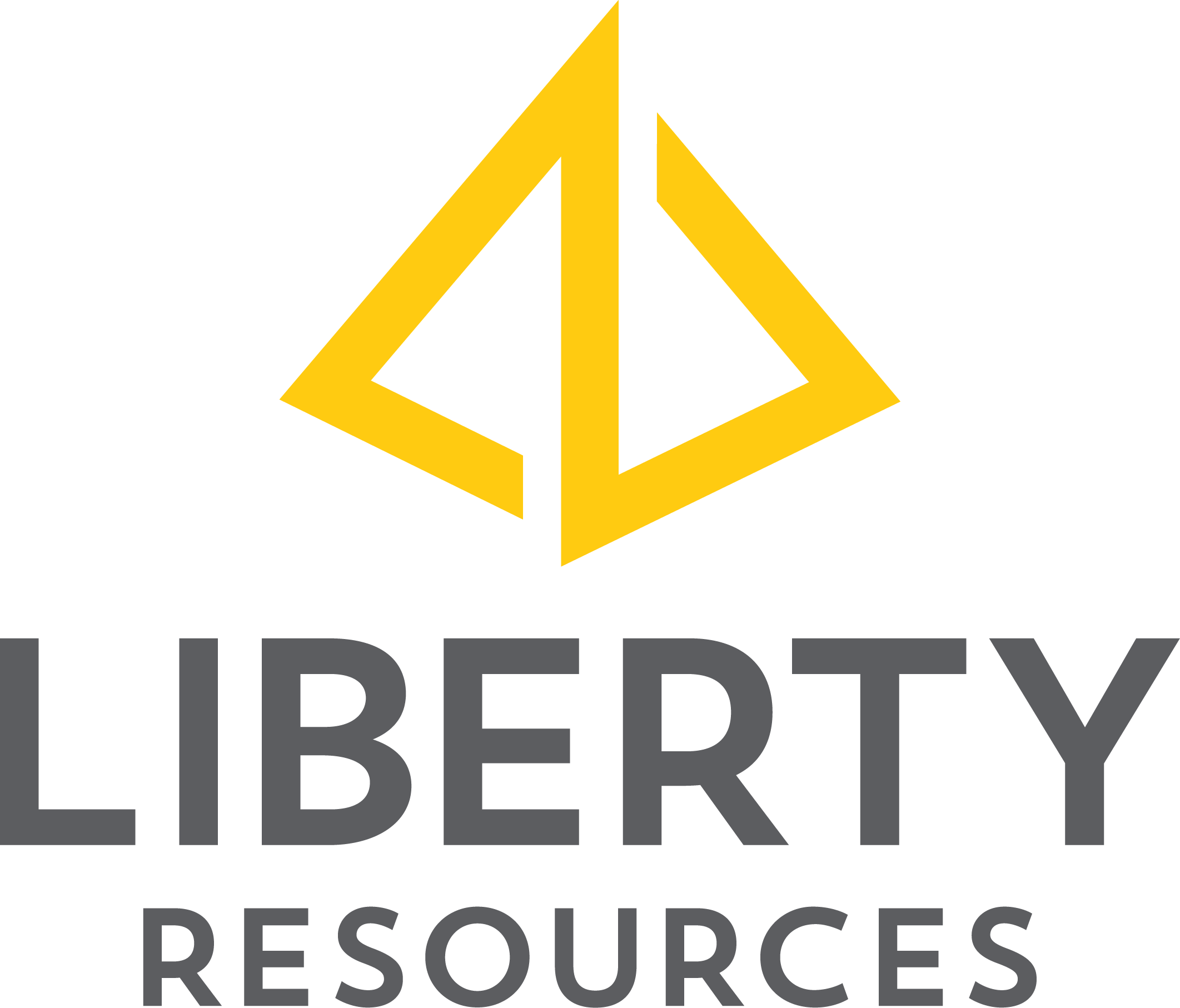 LRI Vertical Logo • Advance Media New York